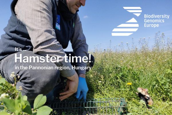 BGE Home - Biodiversity Genomics Europe