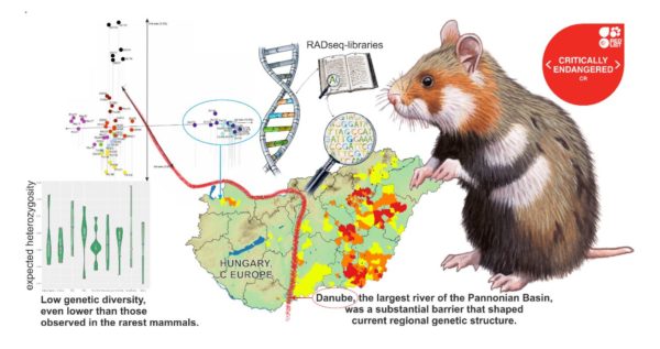 Under pressure: population genomics in the Pannonian lineage of the ...