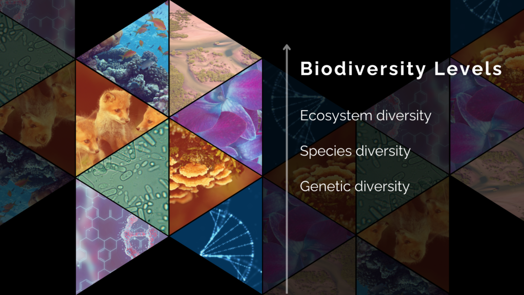 ERGA iBOL Europe Connections #1: On the origin of Biodiversity Genomics ...