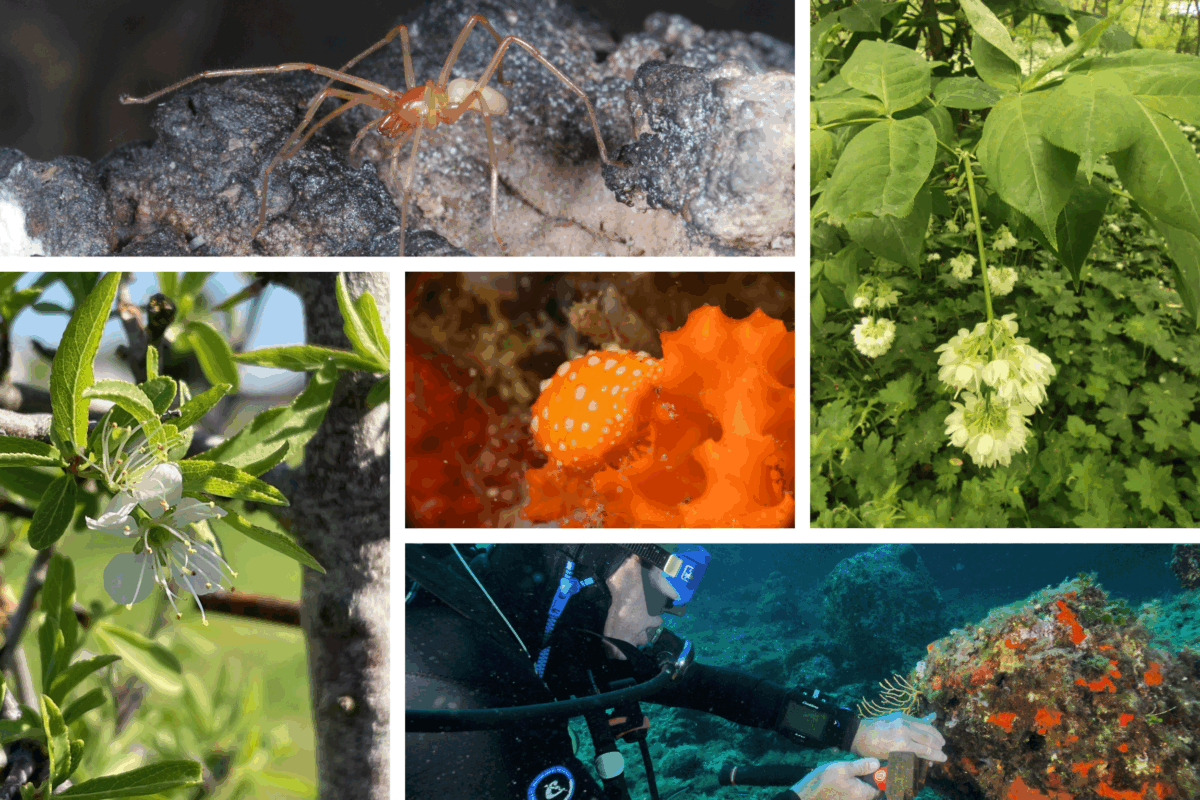 News and events - Biodiversity Genomics Europe