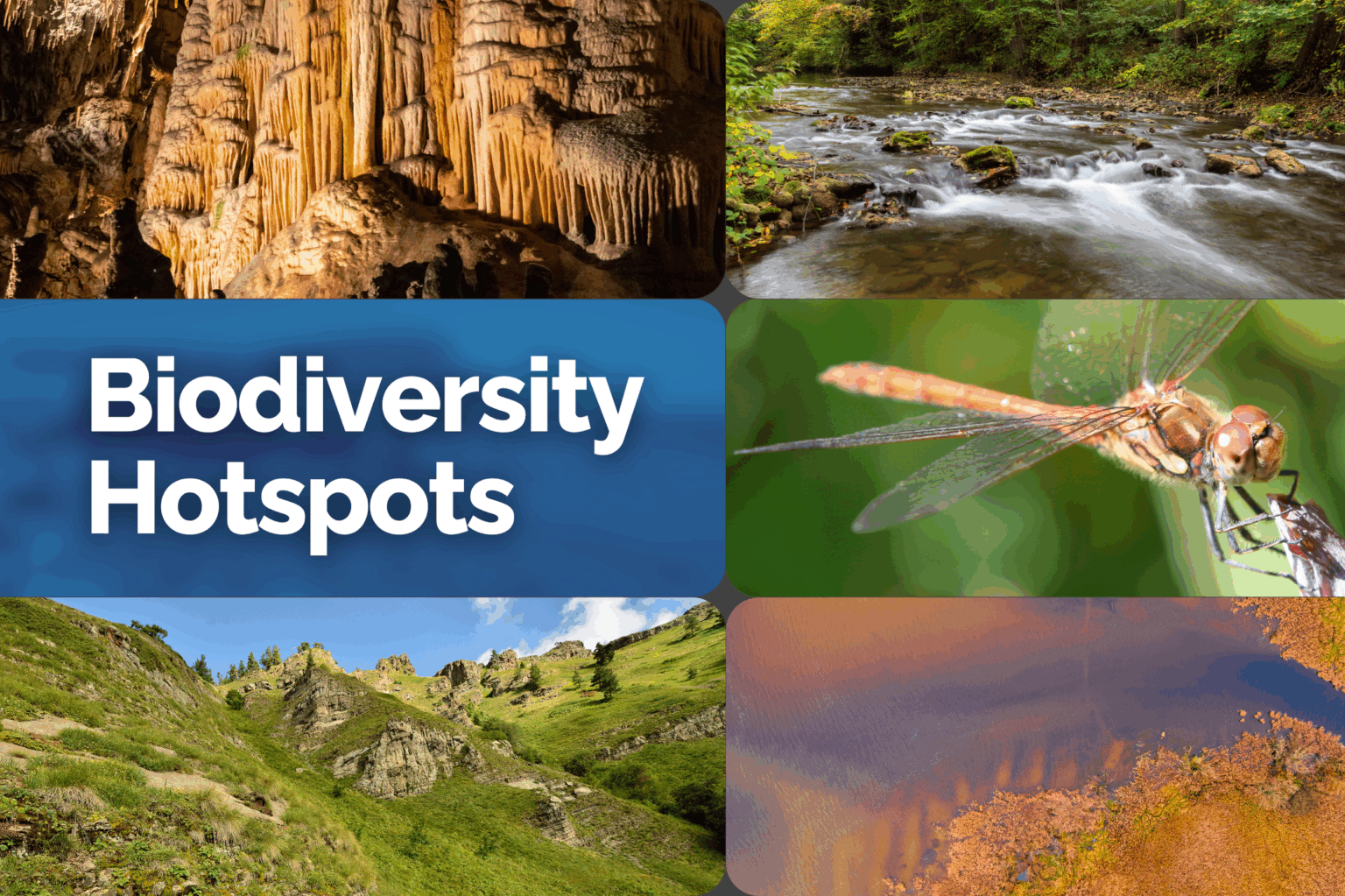 ERGA iBOL Europe Connections #6 - Biodiversity Hotspots & how to study ...