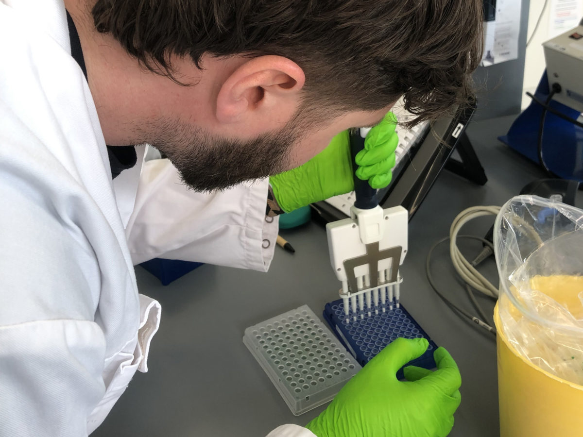 Training - Biodiversity Genomics Europe