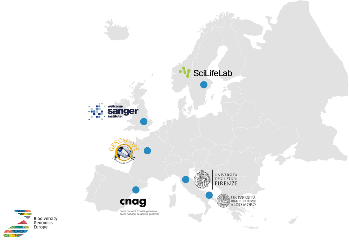 Celebrating 100+ BGE genomes! - Biodiversity Genomics Europe